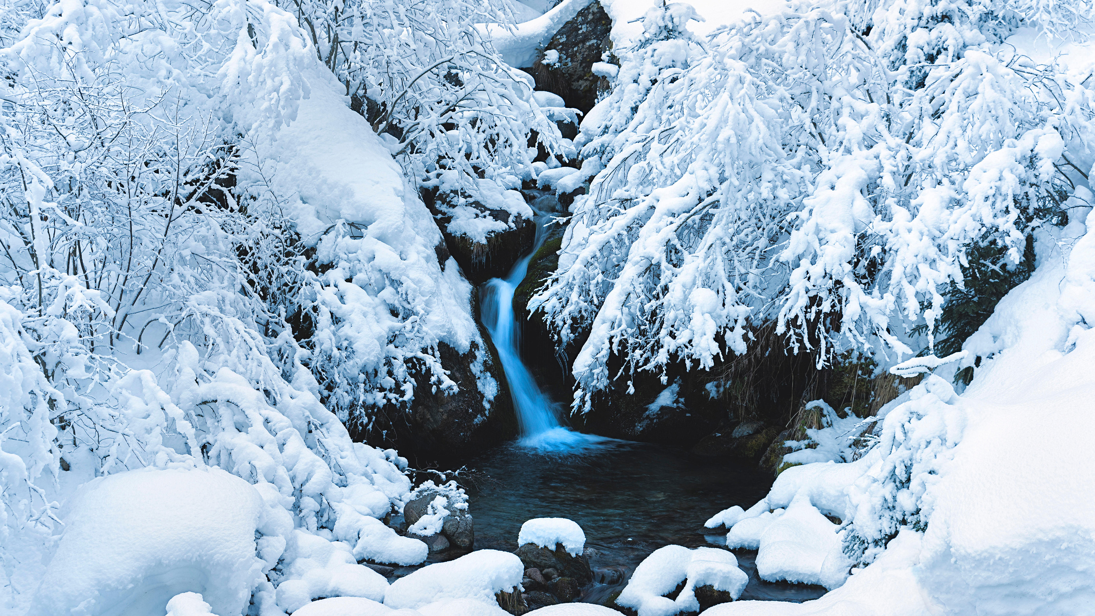 Bing Wallpaper - November 28, 2025 Canada