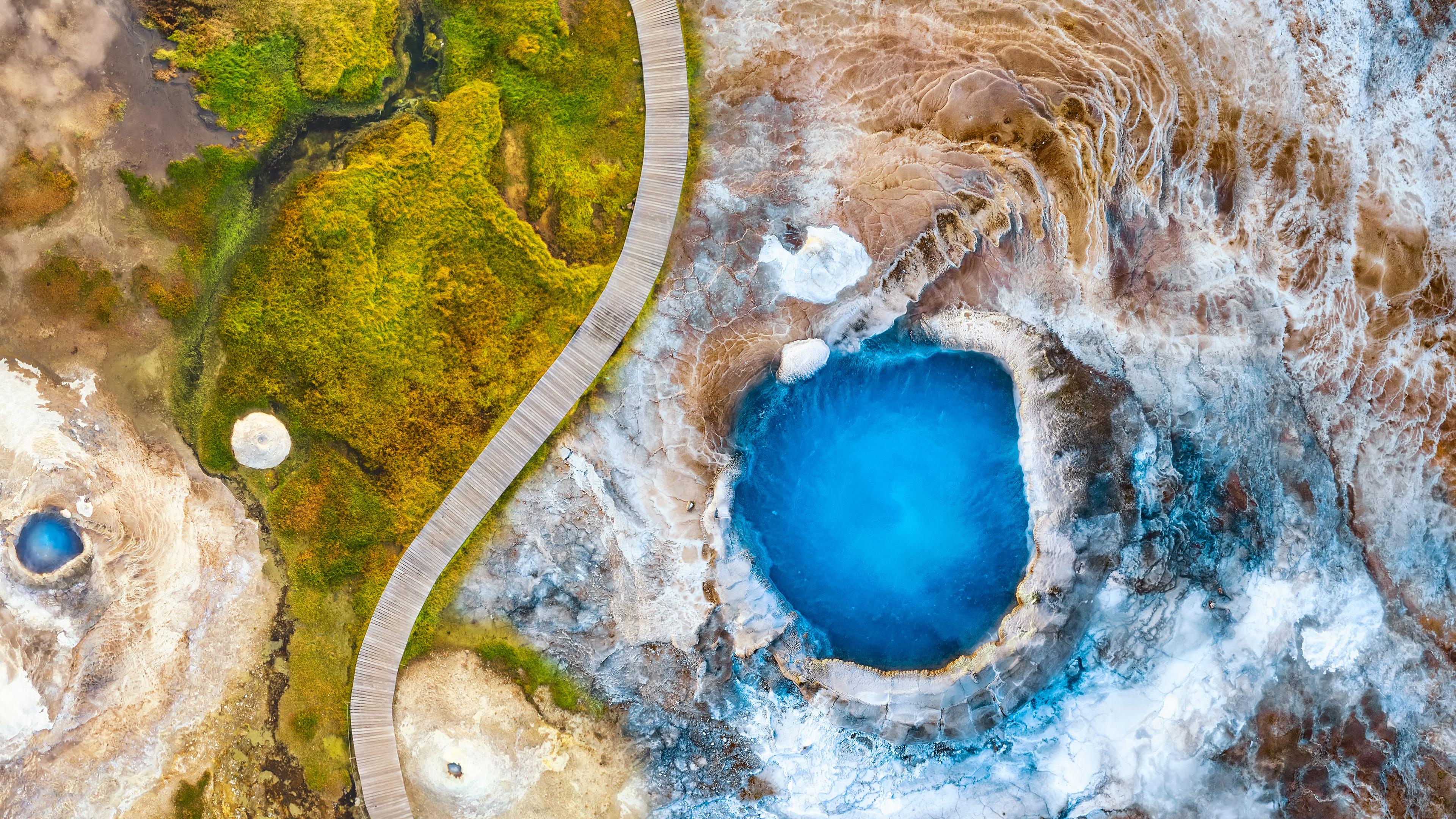 Bing Wallpaper - March 9, 2026 Japan