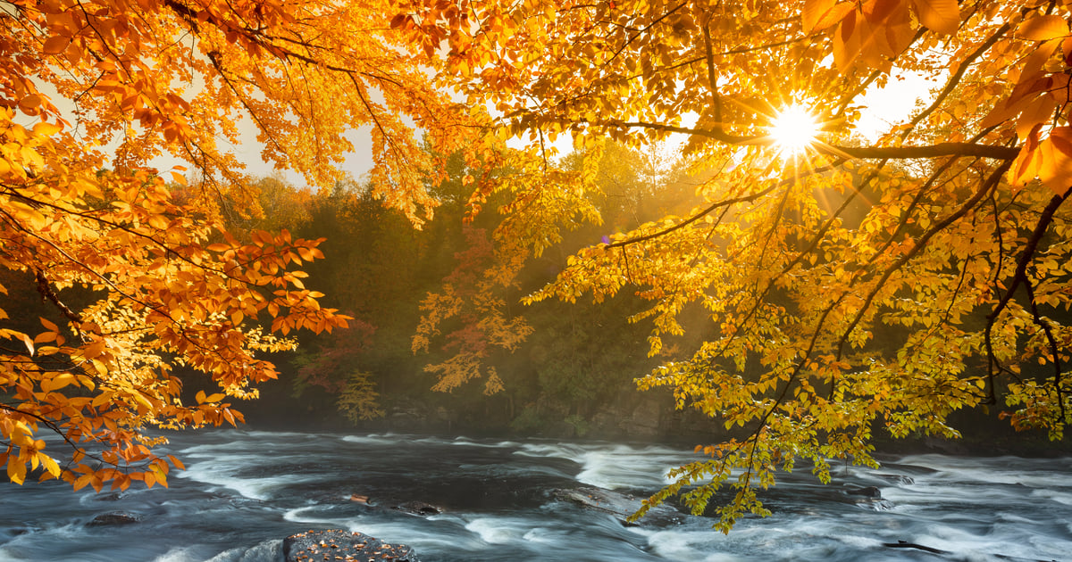 Bing Wallpaper - October 13, 2025 Canada