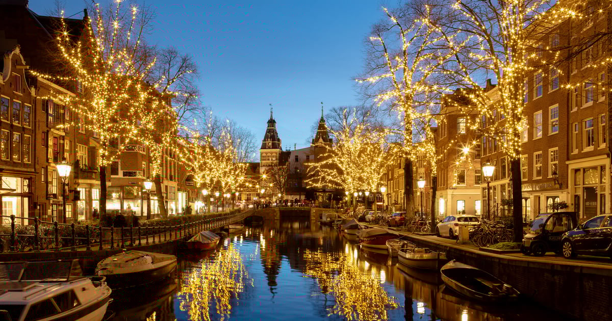 Bing Wallpaper - December 14, 2025 India