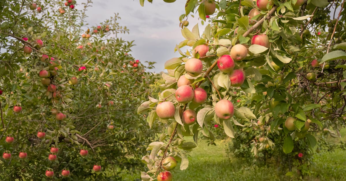 Bing Wallpaper - October 19, 2025 United States