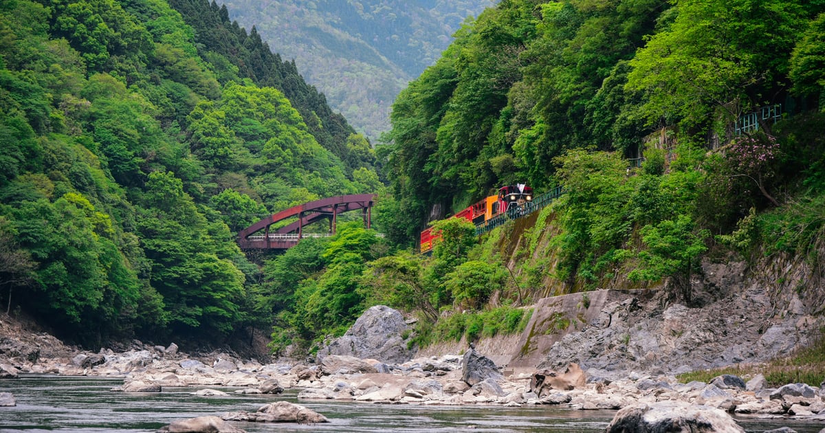 Bing Wallpaper - May 26, 2025 New Zealand