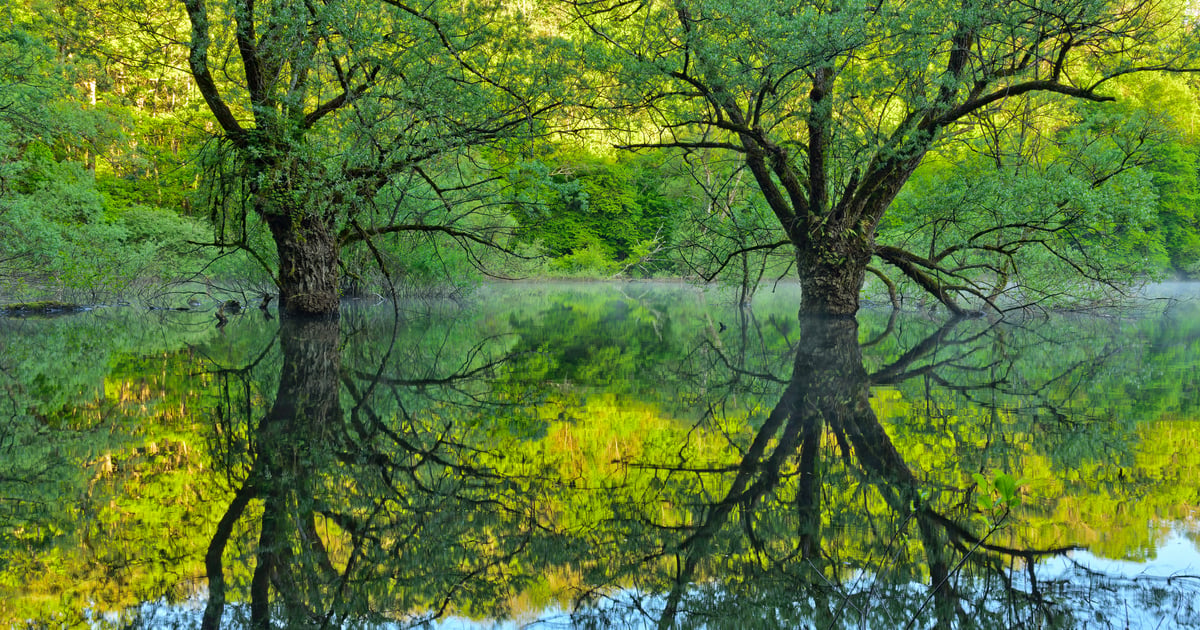 Bing Wallpaper - September 21, 2021 Singapore