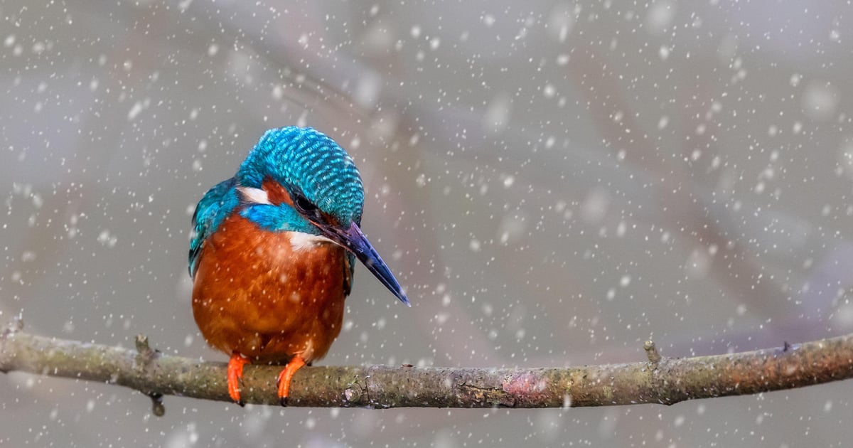 Bing Wallpaper - March 16, 2025 Worldwide