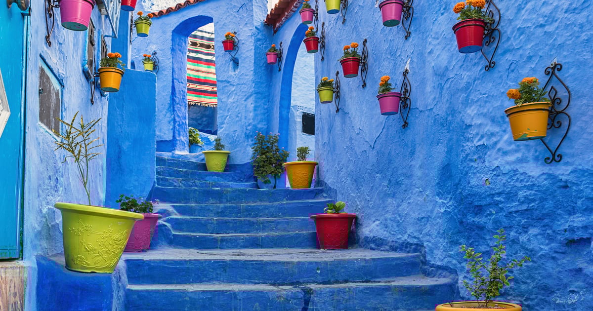 Bing Wallpaper - January 11, 2026 New Zealand