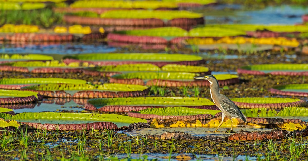Bing Wallpaper - May 2, 2025 Worldwide