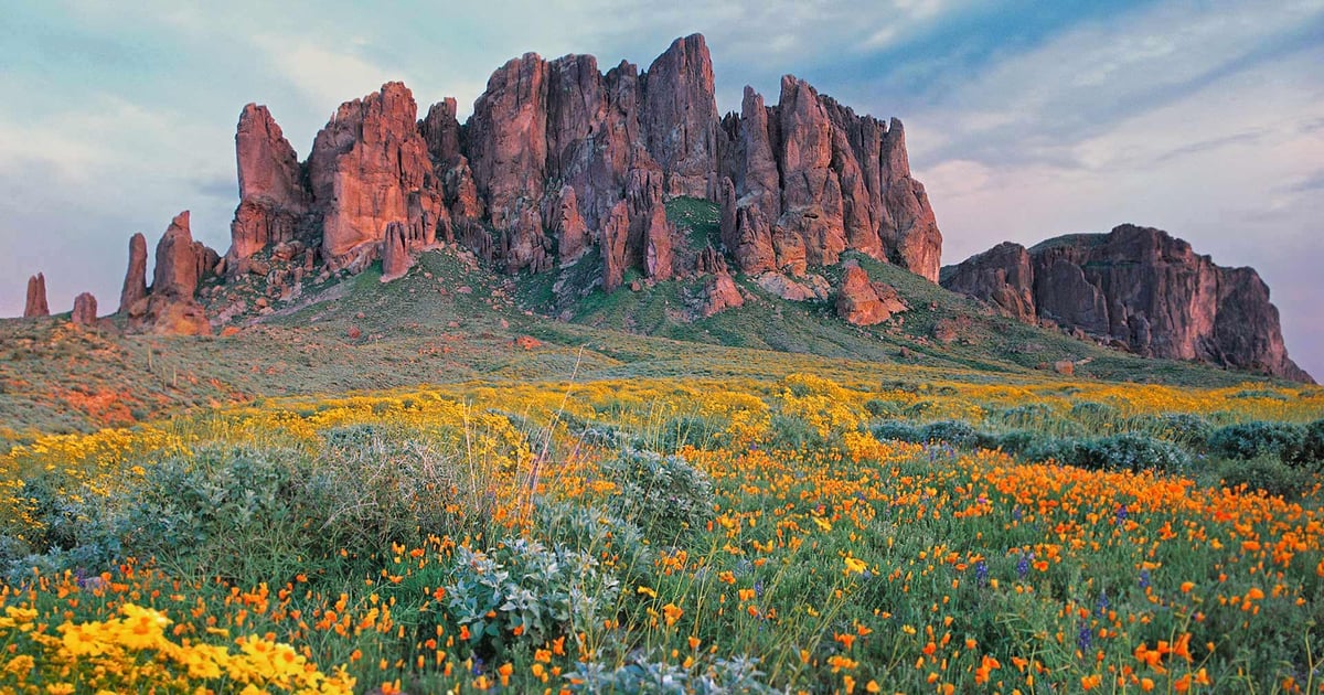 Bing Wallpaper - March 7, 2019 United States