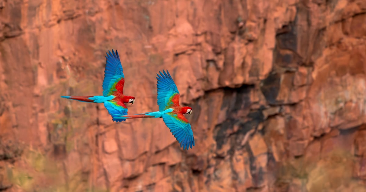 Bing Wallpaper - September 1, 2024 Germany