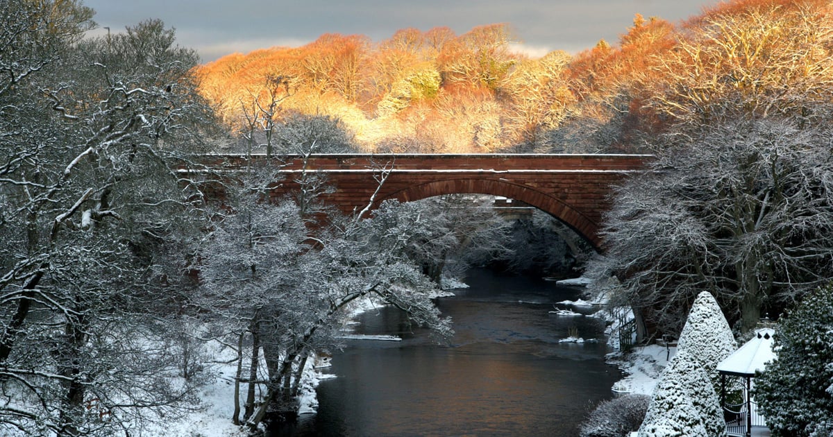 Bing Wallpaper - January 25, 2026 New Zealand