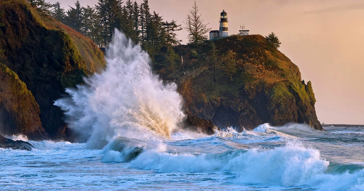 Bing Wallpaper - January 28, 2020 United States
