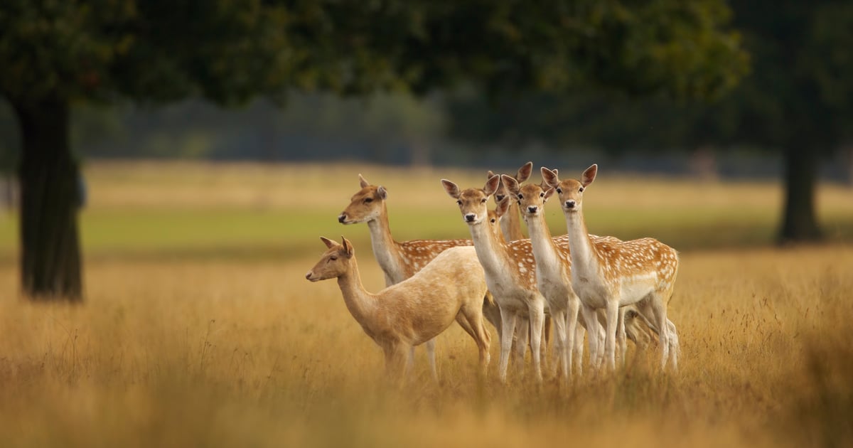 Bing Wallpaper - August 24, 2025 Worldwide