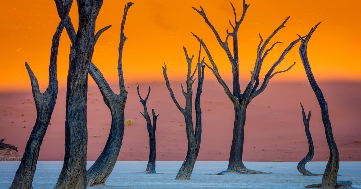 Bing Wallpaper - September 2, 2025 Canada