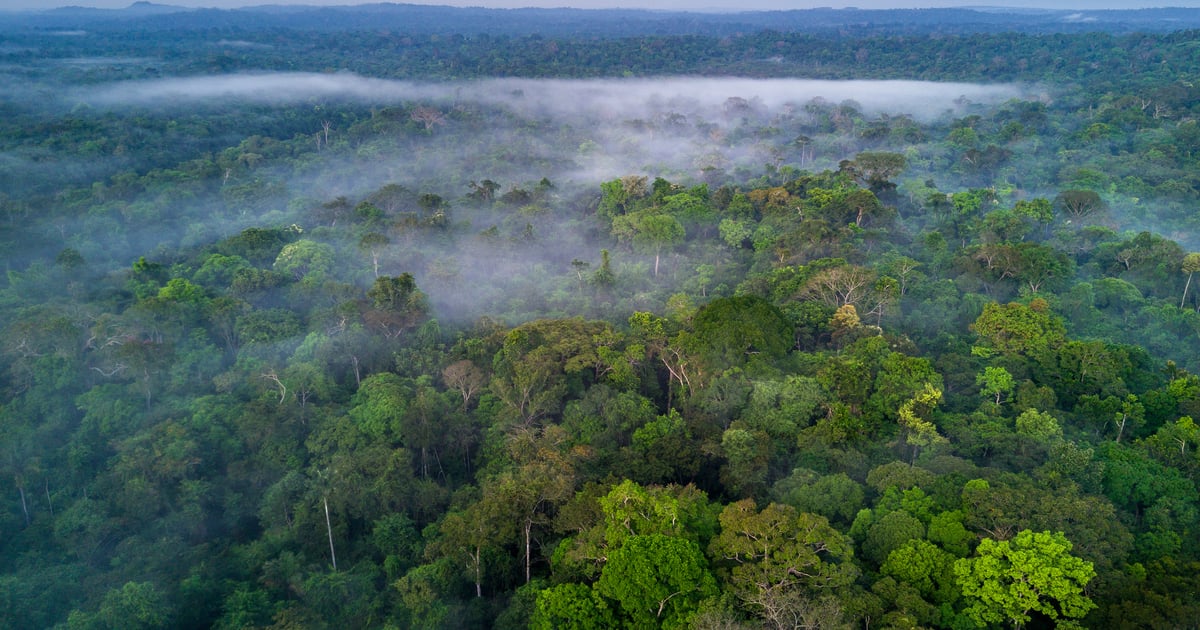 Bing Wallpaper - September 5, 2025 Brazil