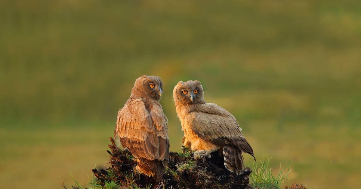 Bing Wallpaper - September 3, 2024 China