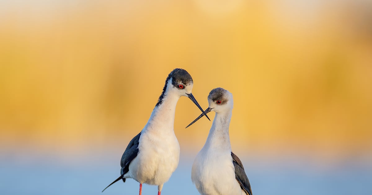 Bing Wallpaper - September 15, 2025 Worldwide