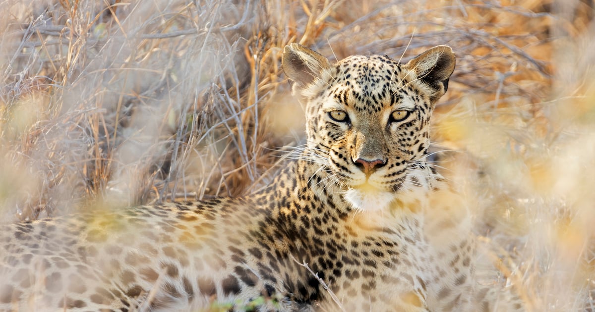 Bing Wallpaper - January 15, 2026 Italy