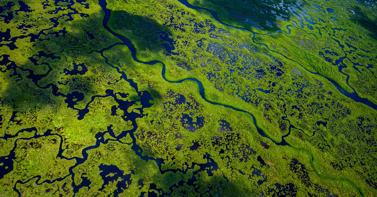 Bing Wallpaper - May 31, 2026 United States