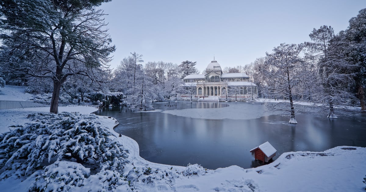 Bing Wallpaper - January 26, 2026 New Zealand