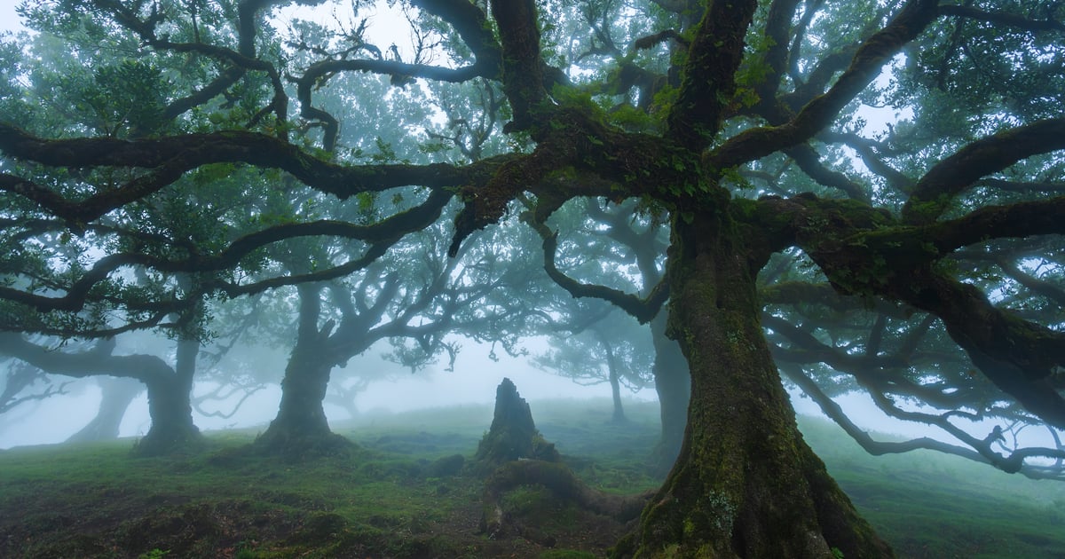 Bing Wallpaper - October 29, 2025 Worldwide