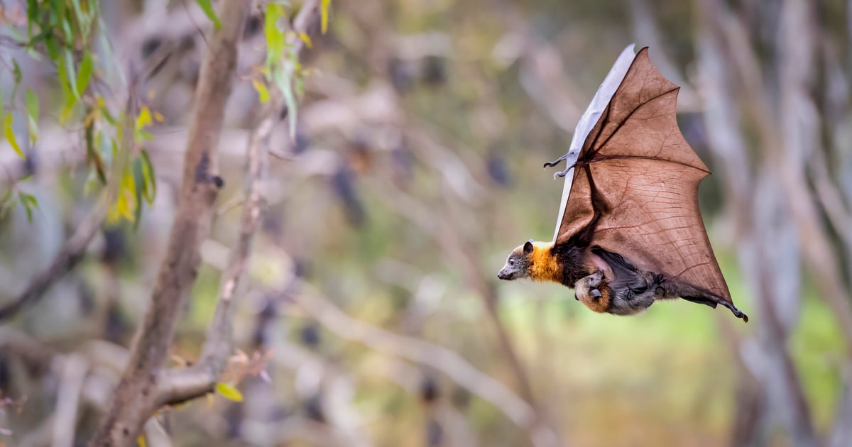 Bing Wallpaper - April 16, 2026 Spain