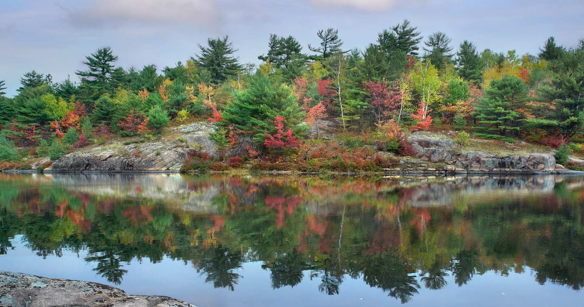 Bing Wallpaper - September 27, 2023 Australia