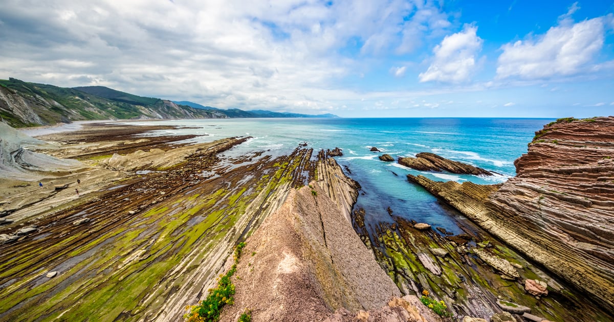Bing Wallpaper - August 19, 2025 Worldwide