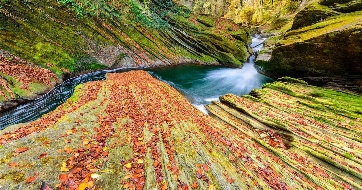 Bing Wallpapers for October 2020 - India