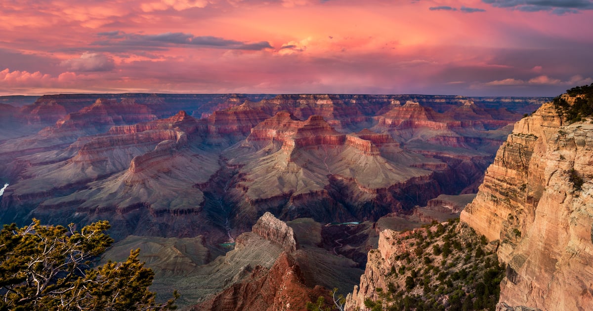 Bing Wallpaper - February 26, 2026 United States