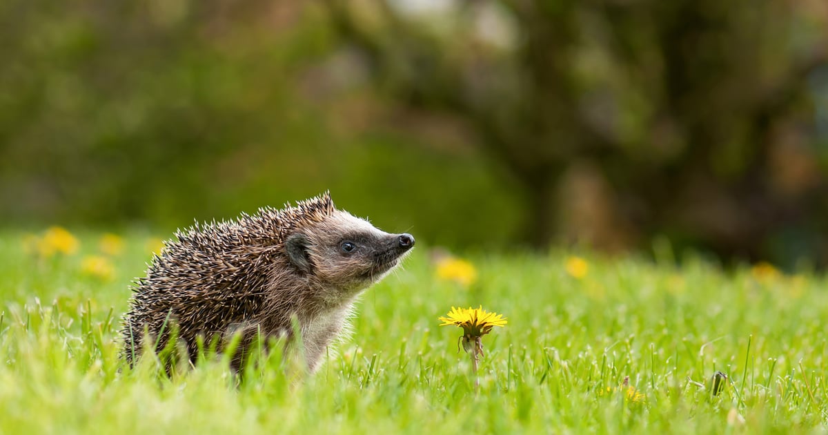 Bing Wallpaper - April 8, 2024 Singapore