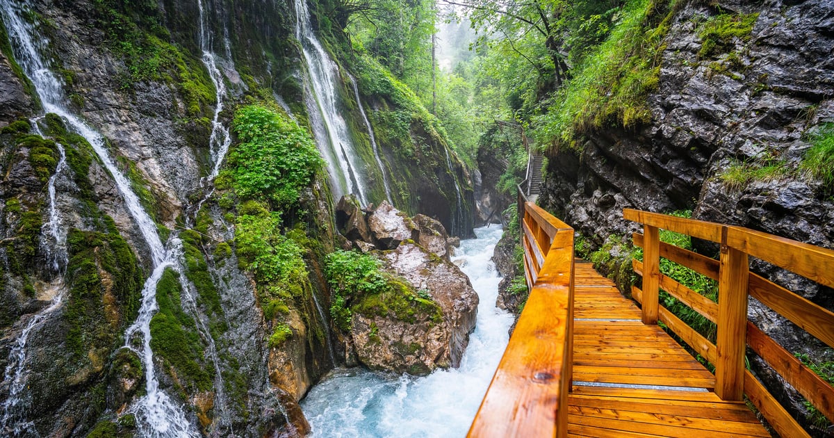 Bing Wallpaper - October 13, 2025 Worldwide