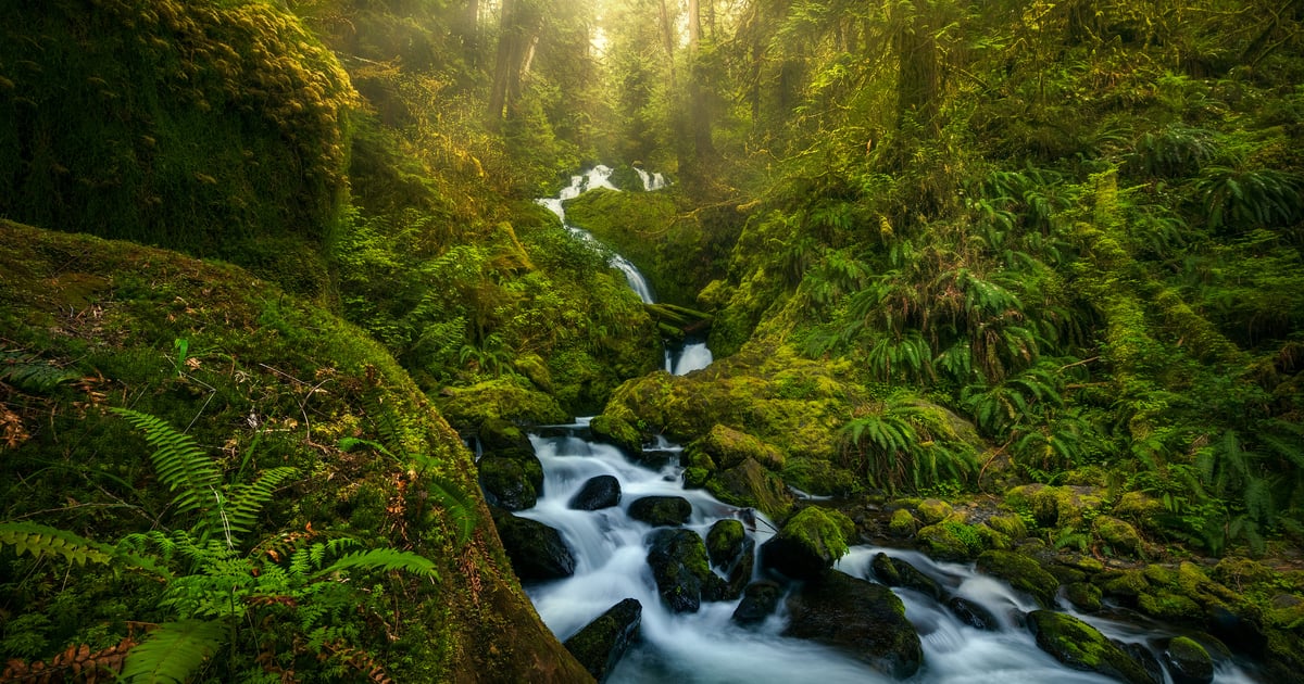 Bing Wallpaper - September 14, 2025 Worldwide