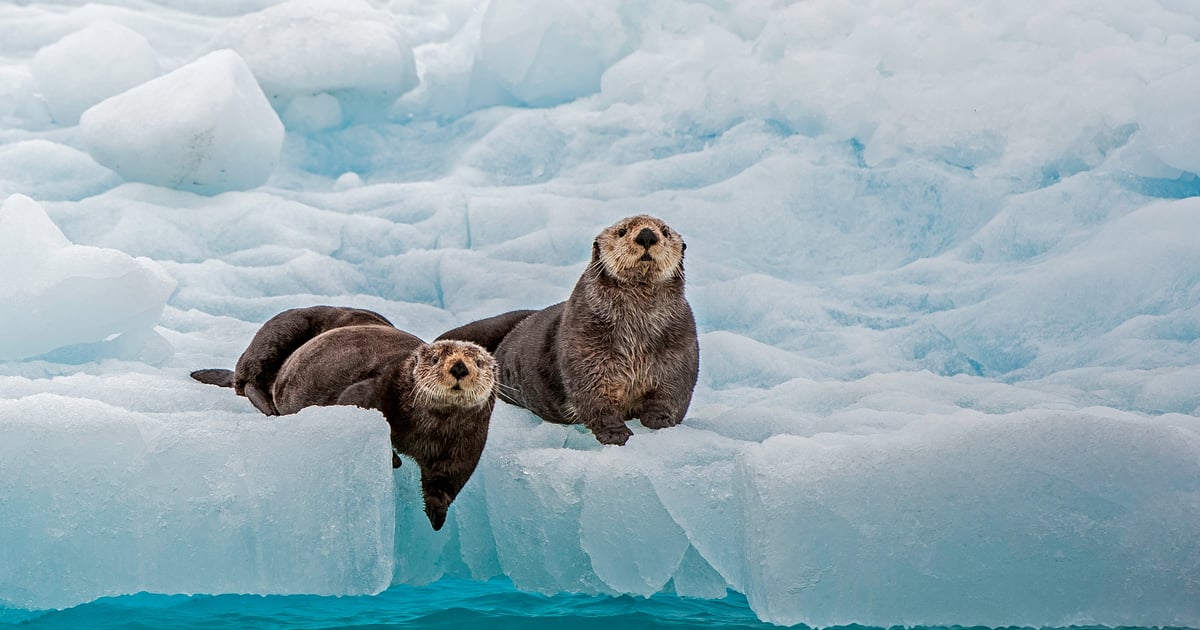 Bing Wallpaper - September 21, 2025 Australia