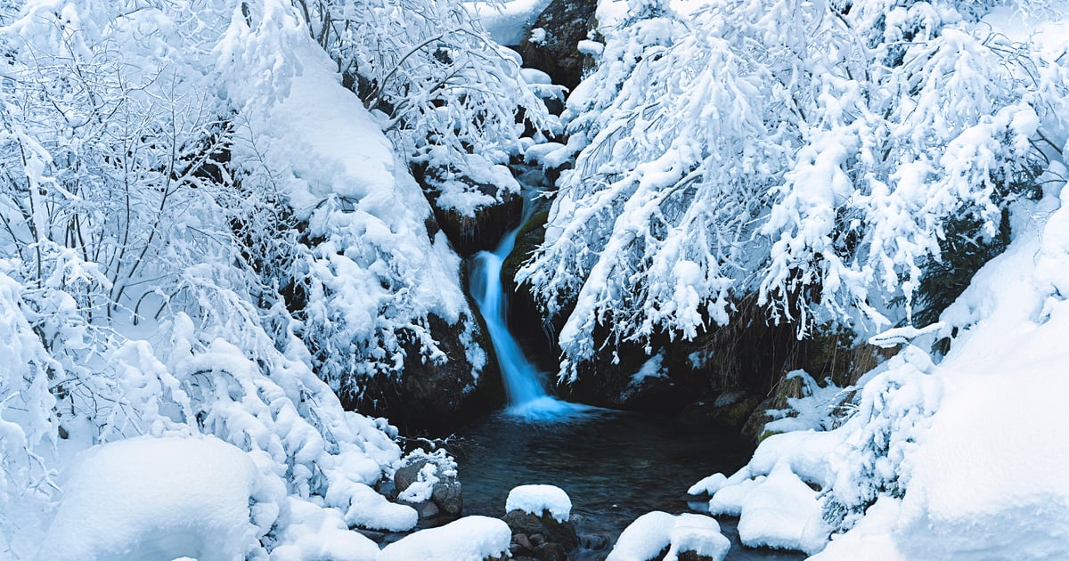 Bing Wallpaper - November 28, 2025 United Kingdom