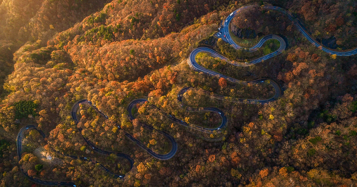 Bing Wallpaper - November 15, 2025 Canada