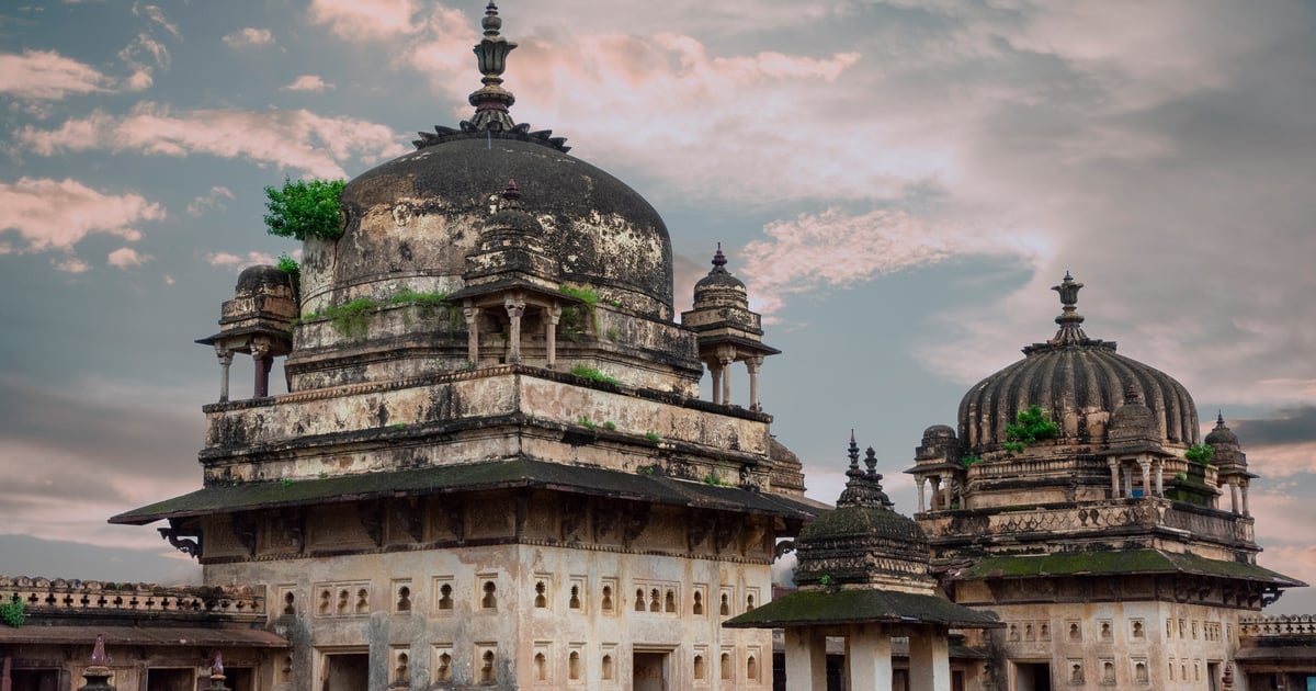 Bing Wallpaper - October 4, 2025 India