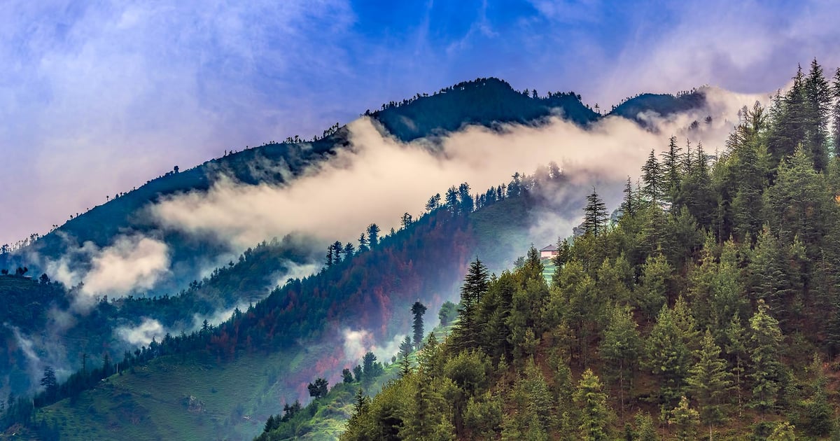 Bing Wallpapers for February 2020 - United States