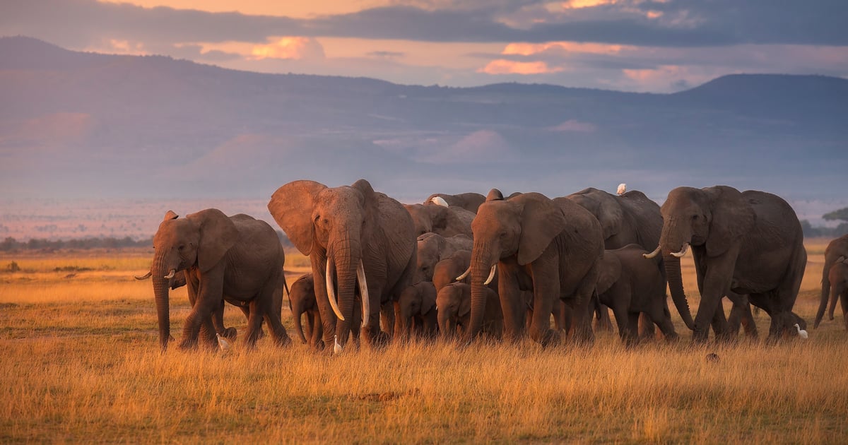 Bing Wallpaper - August 12, 2025 Worldwide