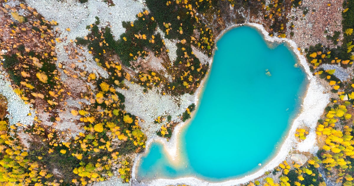 Bing Wallpaper - December 23, 2025 Singapore