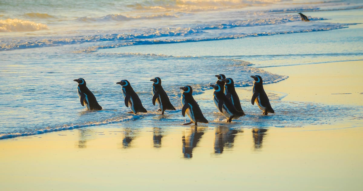 Bing Wallpaper - April 25, 2025 Worldwide