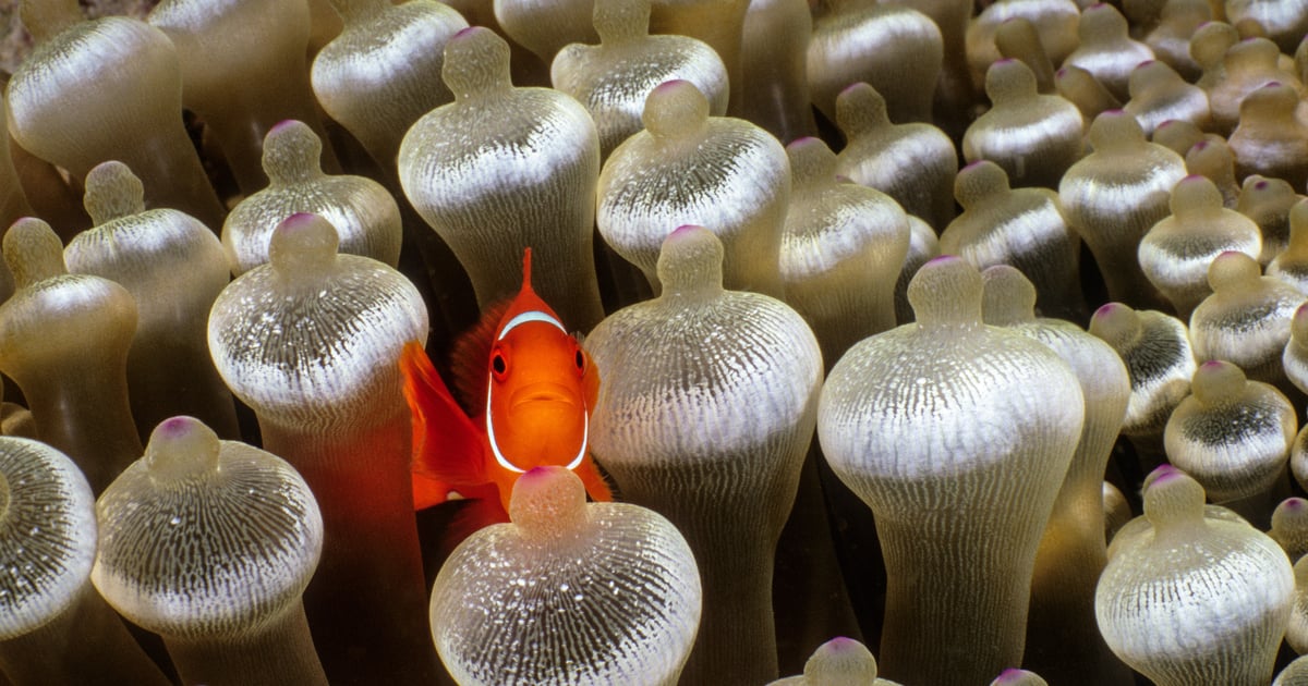 Bing Wallpaper - July 2, 2025 Worldwide