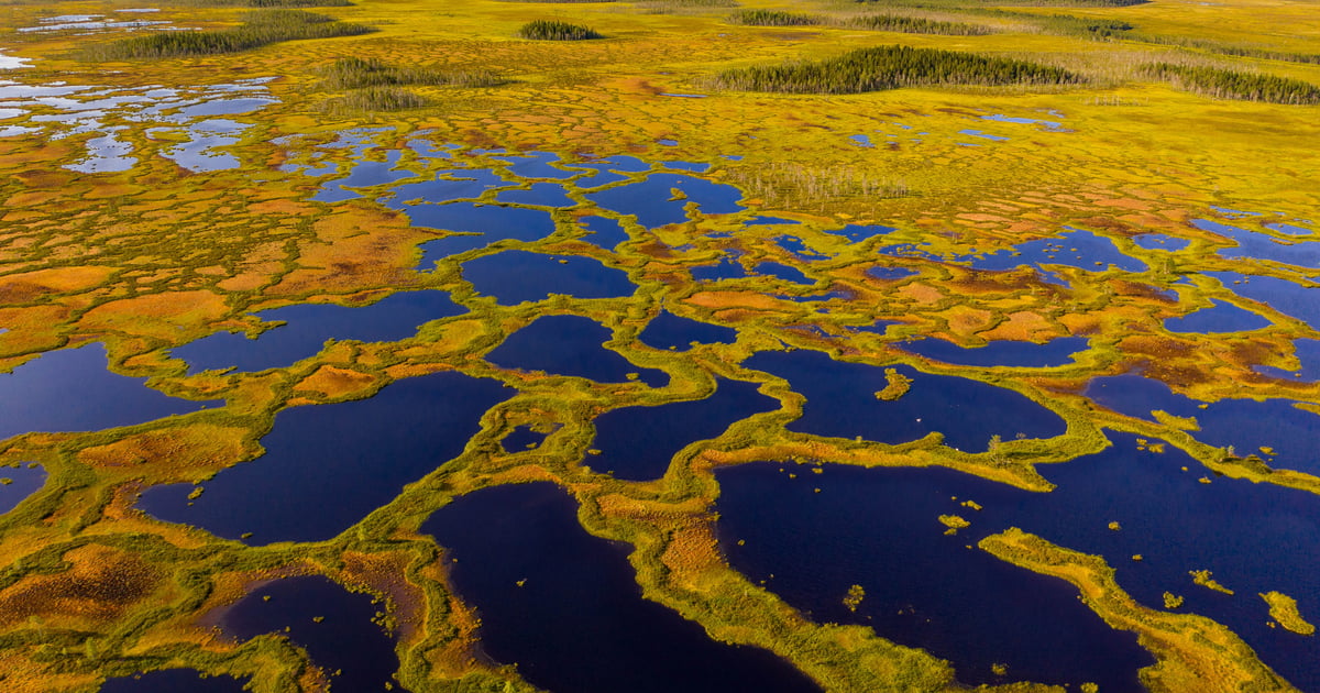 Bing Wallpaper - October 25, 2025 Worldwide