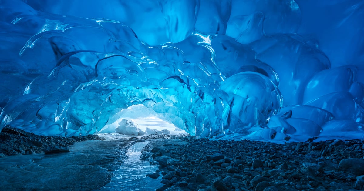 Bing Wallpaper - February 25, 2026 Worldwide