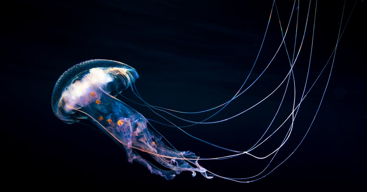 Bing Wallpaper - November 3, 2025 Worldwide
