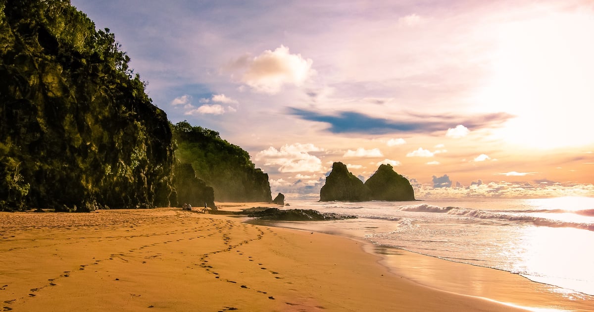 Bing Wallpaper - January 17, 2026 New Zealand