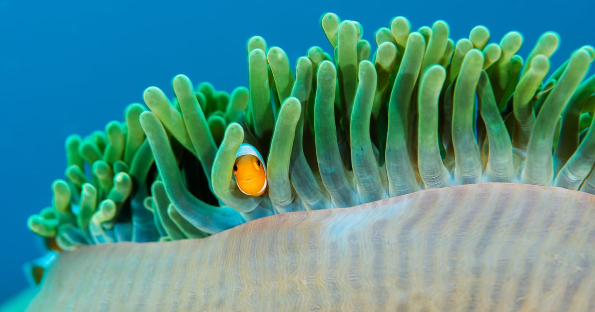 Bing Wallpaper - April 14, 2026 Worldwide