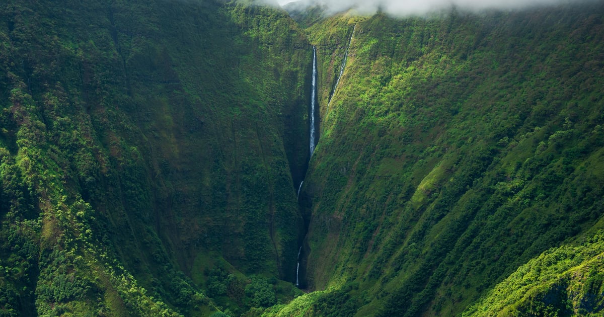 Bing Wallpaper - February 28, 2026 Worldwide