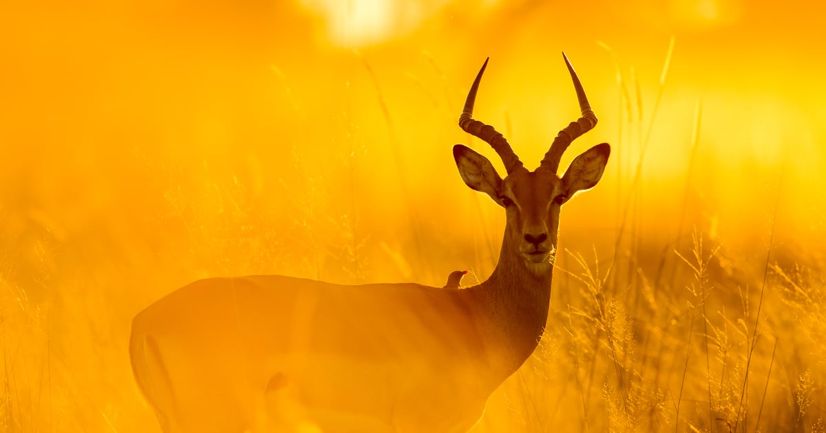 Bing Wallpaper - April 28, 2025 Worldwide