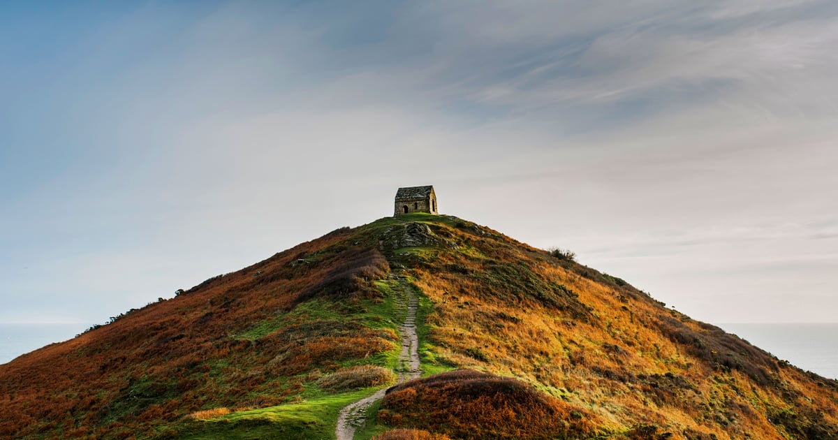 Bing Wallpaper - November 18, 2021 Australia