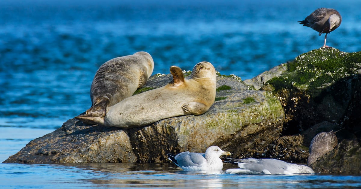 Bing Wallpaper - November 21, 2025 Worldwide
