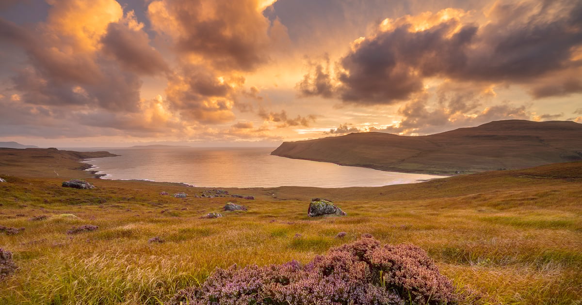 Bing Wallpaper - October 2, 2025 United Kingdom